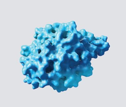 RITUXAN HYCELA® (rituximab/hyaluronidase human) Proposed MOA
