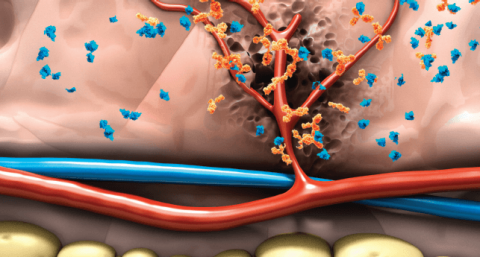 Rituxan Mechanism Of Action