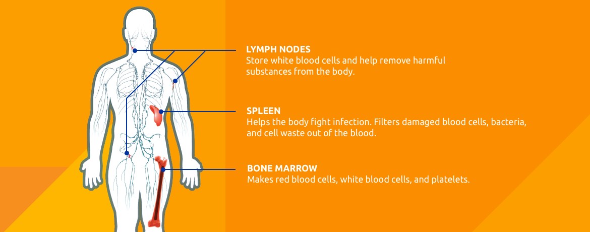 Diffuse Large B-cell Lymphoma Symptoms | RITUXAN HYCELA