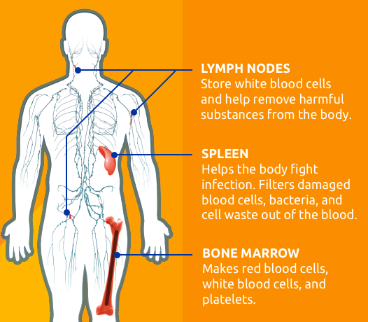 Diffuse Large B-cell Lymphoma Symptoms | RITUXAN HYCELA